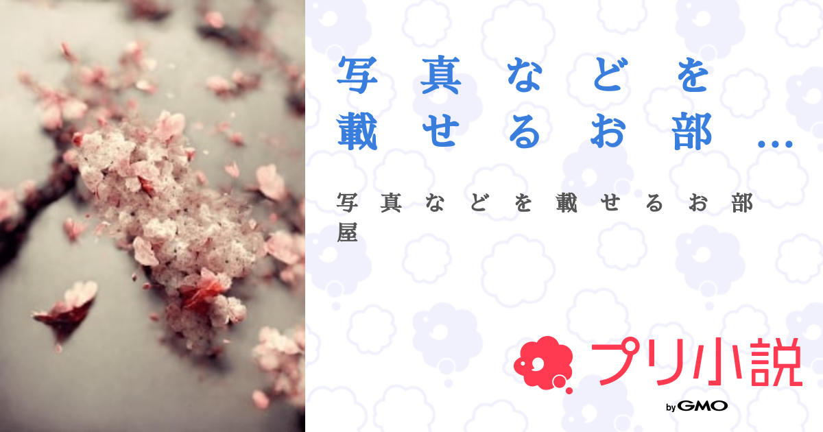 写 真 な ど を 載 せ る お 部 屋 全1話 【連載中】（夜神黒羽 るりﾁｬﾝとペア画さんの小説） 無料スマホ夢小説